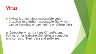 Virus and Worms | PPTX | Computing | Technology & Computing