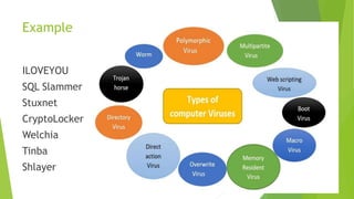 Virus and Worms | PPTX | Computing | Technology & Computing