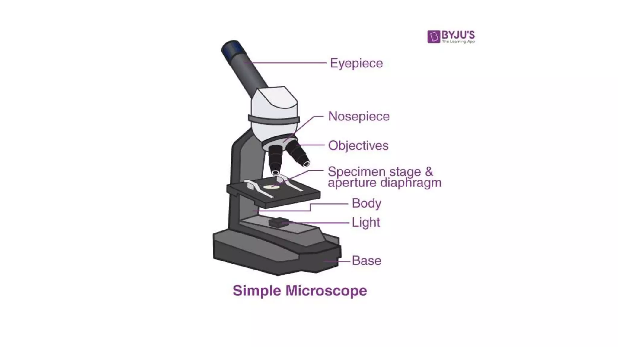 Simple microscope.pptx