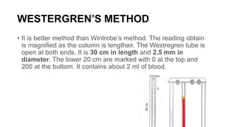 Presentation.pptx | Blood Disorders | Diseases and Conditions