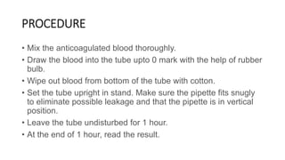 Presentation.pptx | Blood Disorders | Diseases and Conditions
