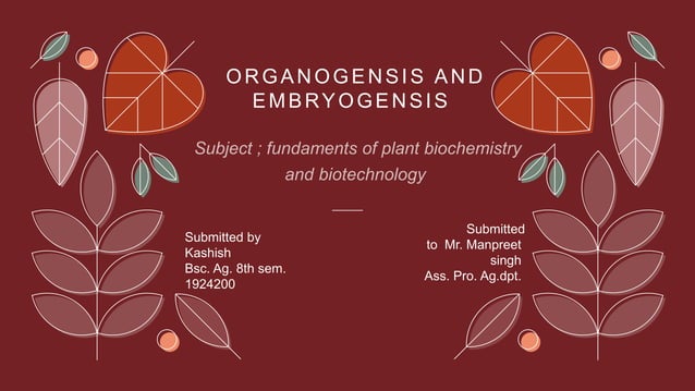 Embryogenesis and organogenesis Presentation.pptx