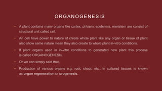Embryogenesis and organogenesis Presentation.pptx
