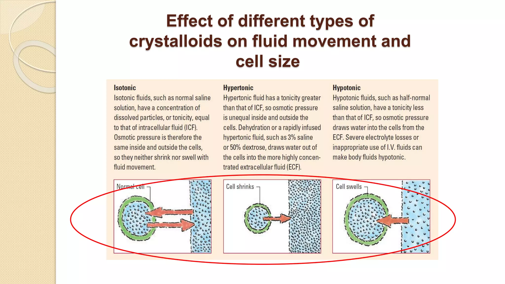 Basics of fluid therapy | PPTX