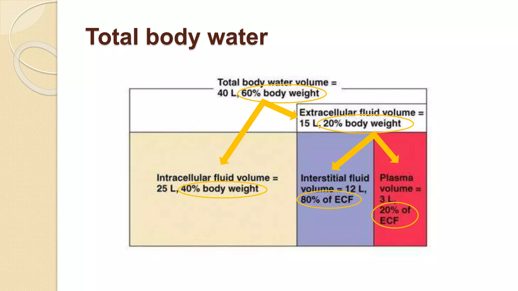 Basics of fluid therapy | PPTX
