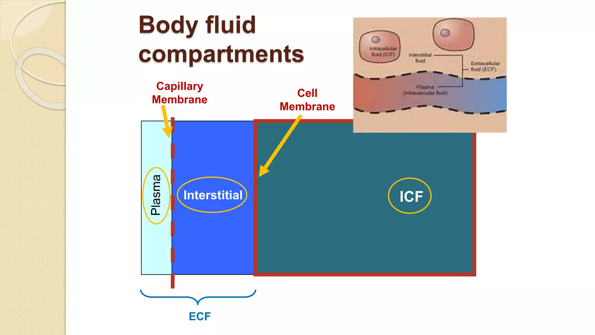 Basics of fluid therapy | PPTX