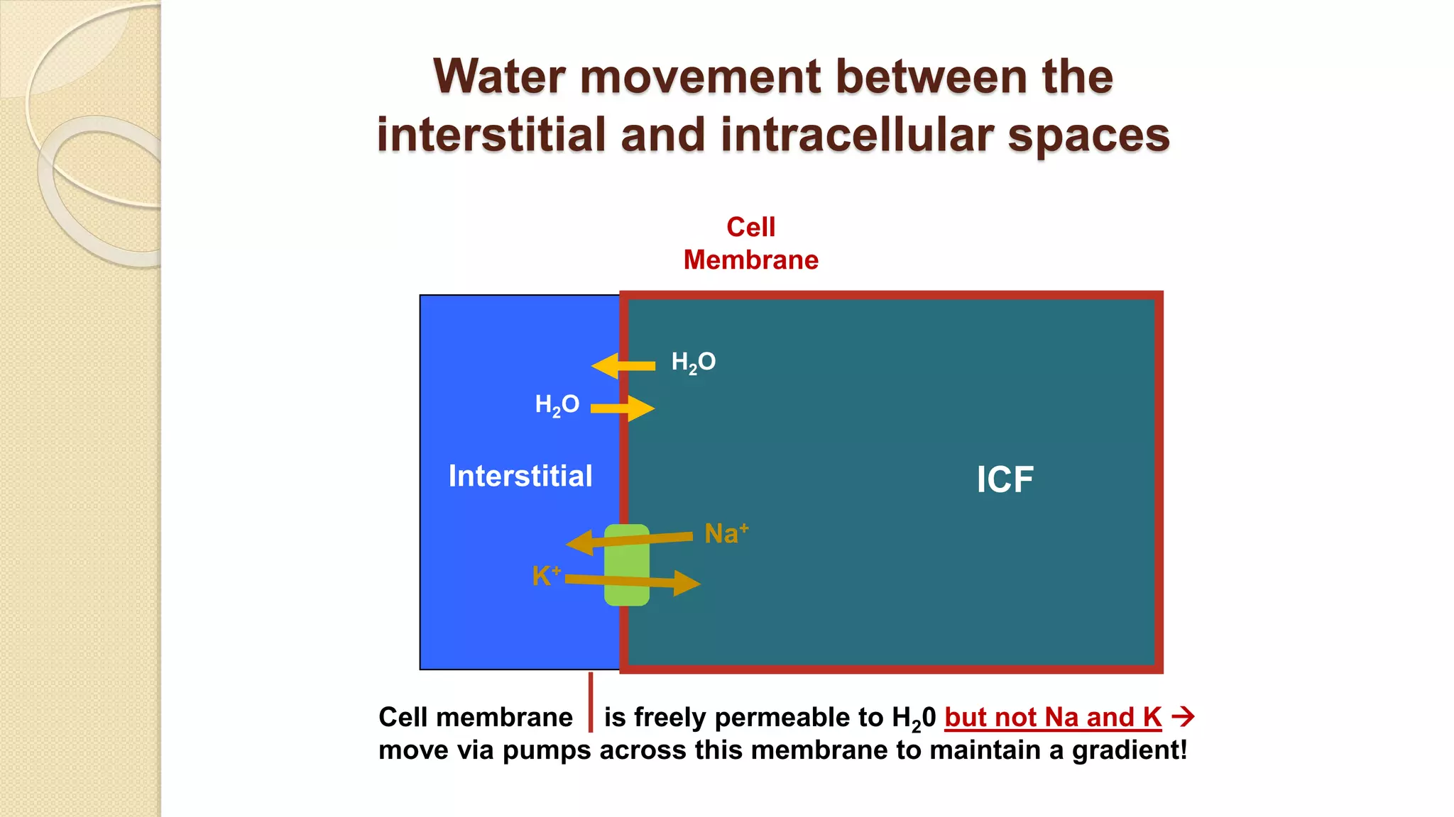 Basics of fluid therapy | PPTX