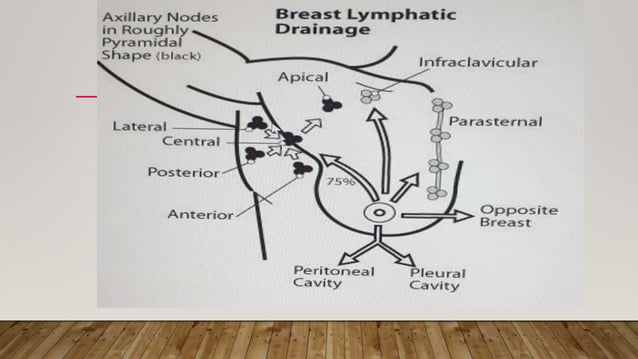 Surgical anatomy of the breast.pptx
