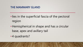Surgical anatomy of the breast.pptx