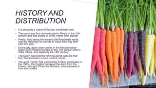 Carrots seed production | PPTX