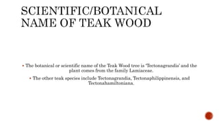 Plantation forestry | PPTX