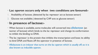 gene regulation in prokaryotes | PDF