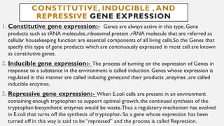 gene regulation in prokaryotes | PDF