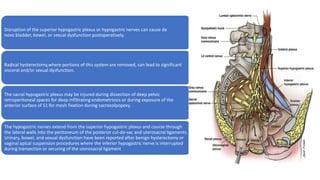 Nerve supply to female genital organs | PPTX