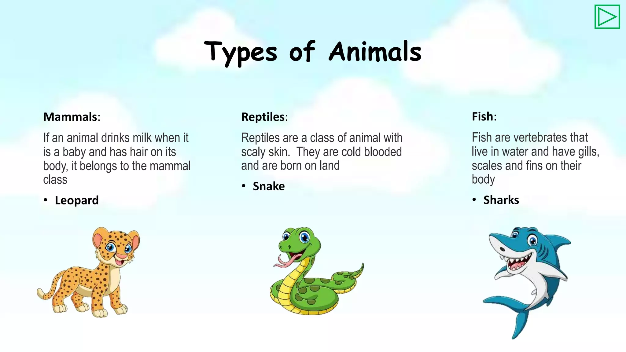 Animal Life | PPTX