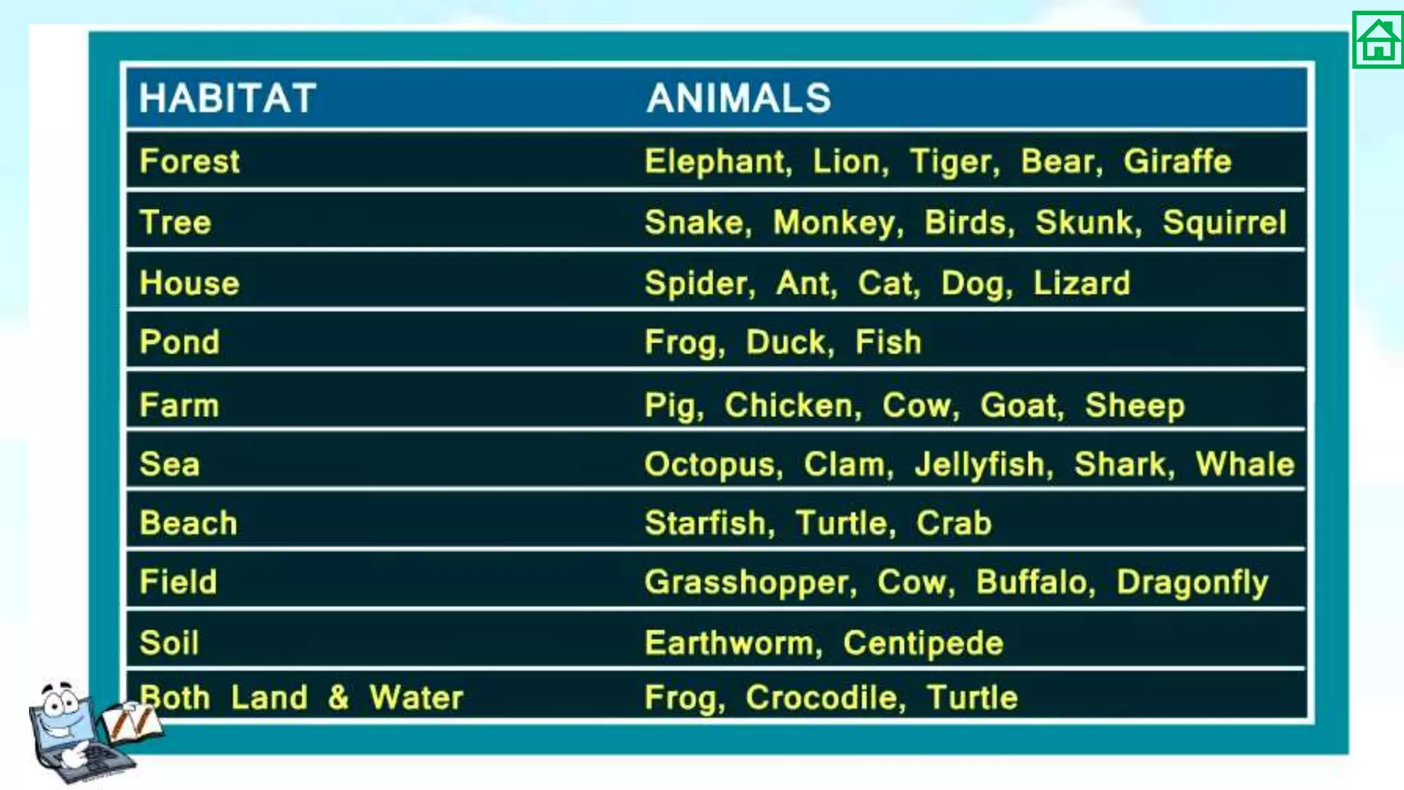 Animal Life | PPTX