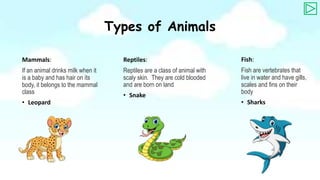 Animal Life | PPTX | Reptiles | Pets