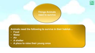 Animal Life | PPTX | Reptiles | Pets