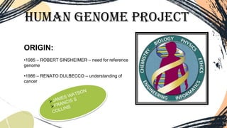 HUMAN GENEOME PROJECT | PPTX