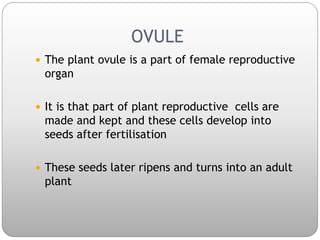 Plant ovule | PPT
