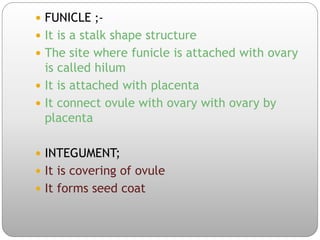Plant ovule | PPT