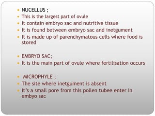 Plant ovule | PPTX