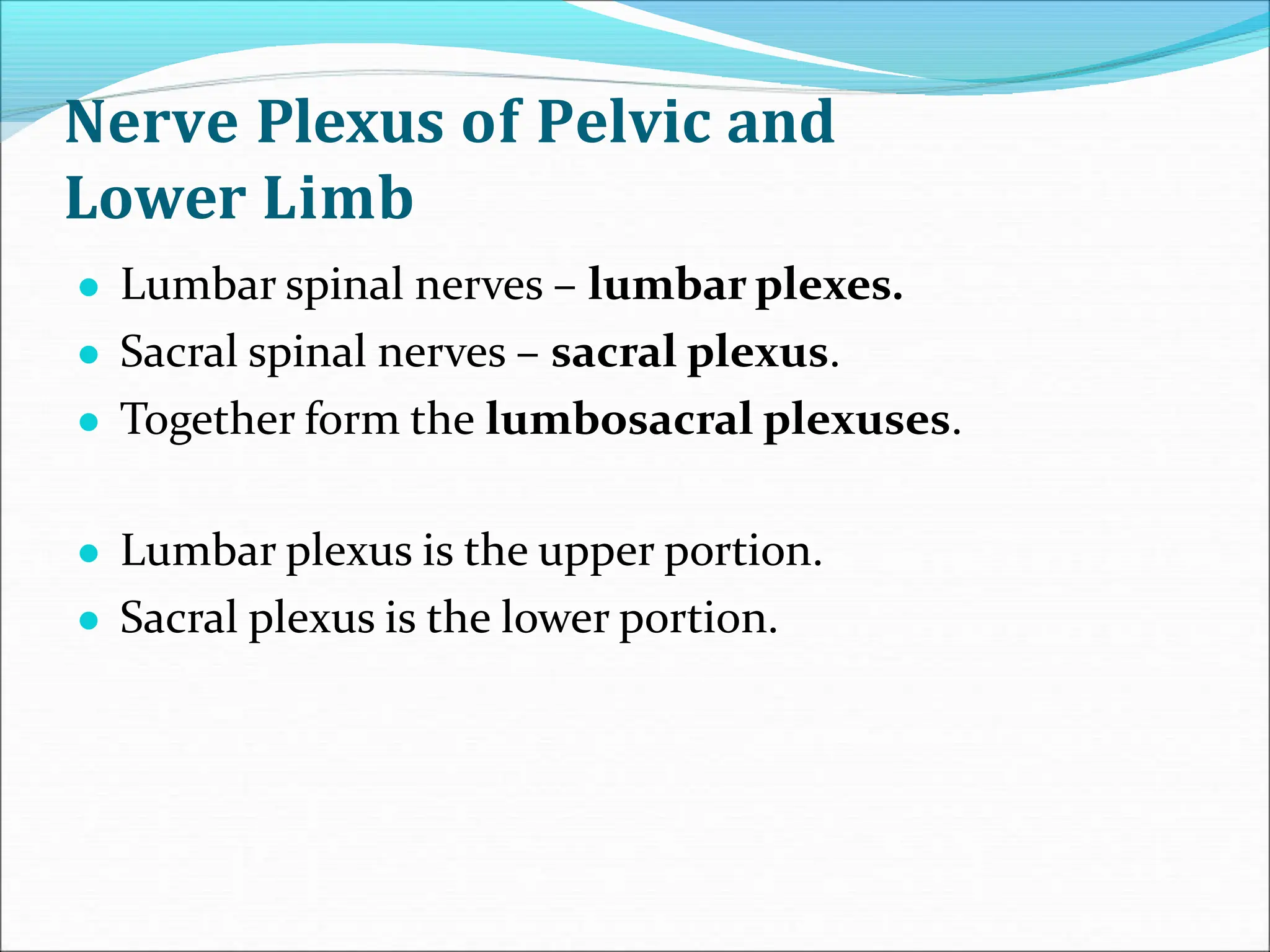 Lumbo Sacral Plexus Presentation.pptx