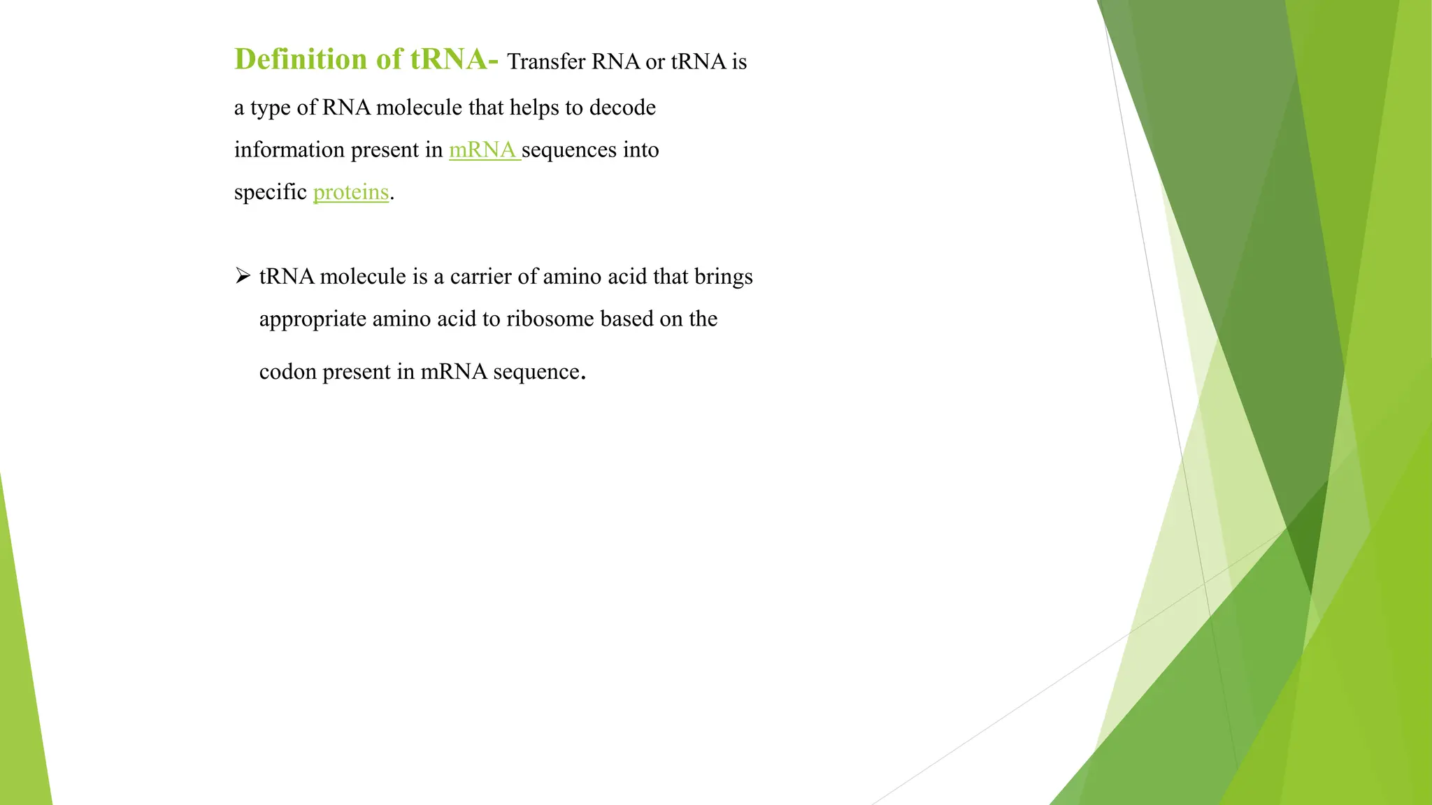 structure and function of RNA.pptx