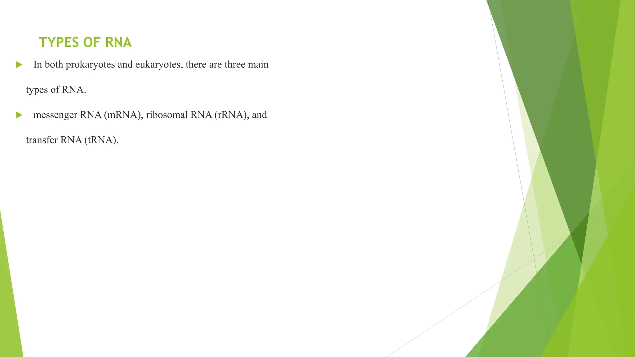 structure and function of RNA.pptx