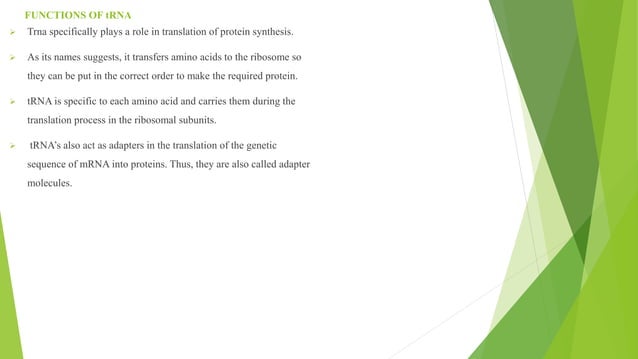 structure and function of RNA.pptx