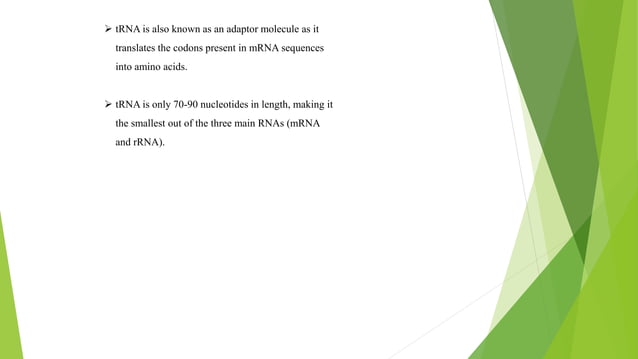 structure and function of RNA.pptx