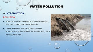 water pollution | PPT
