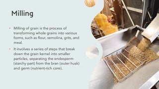 Presentation on food processing engineering.pdf