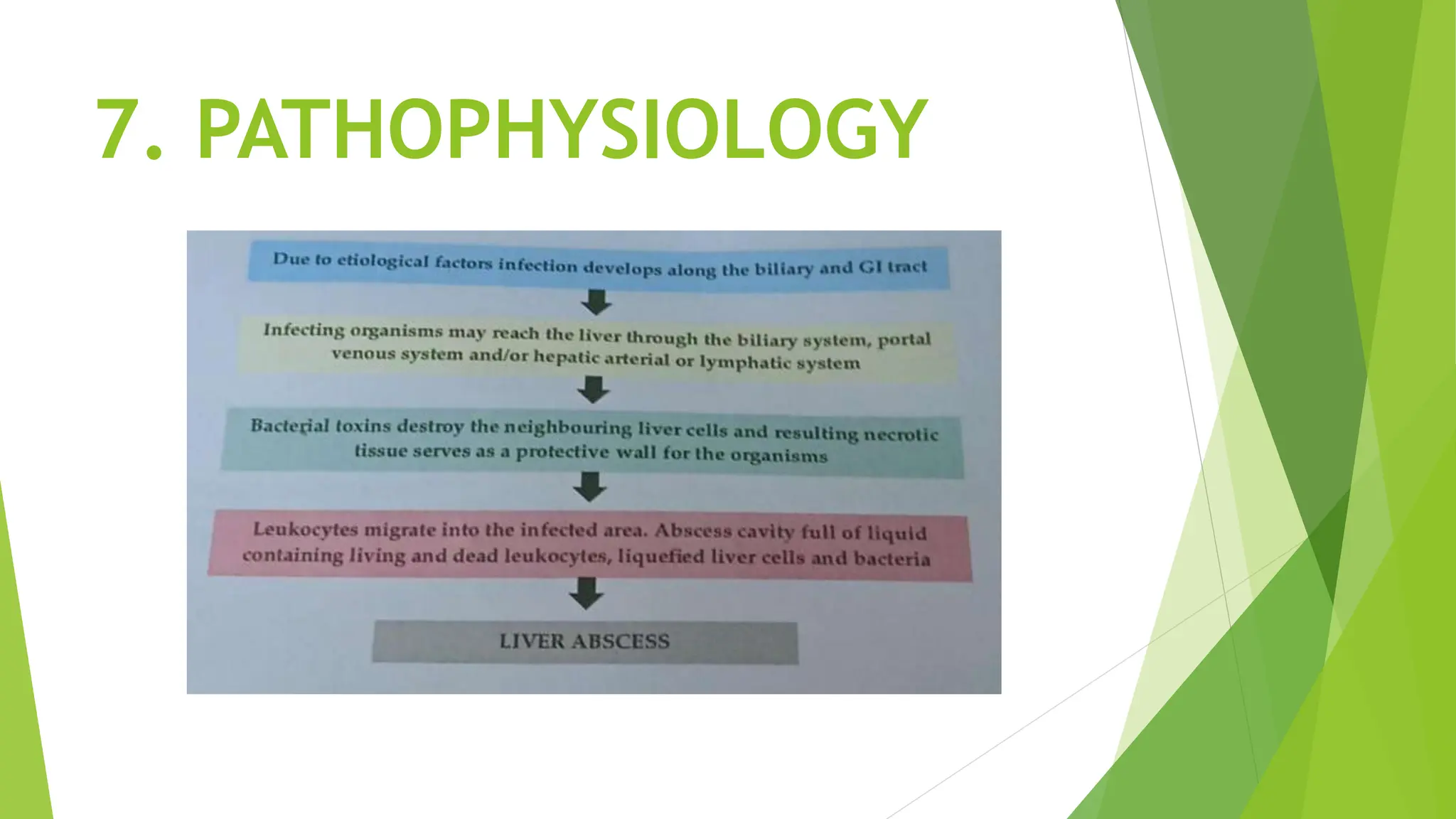 Liver abscess presentation | PPTX