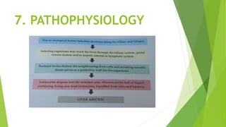 Liver abscess presentation | PPTX