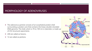 Presentation.pptx for the medical student | PPT
