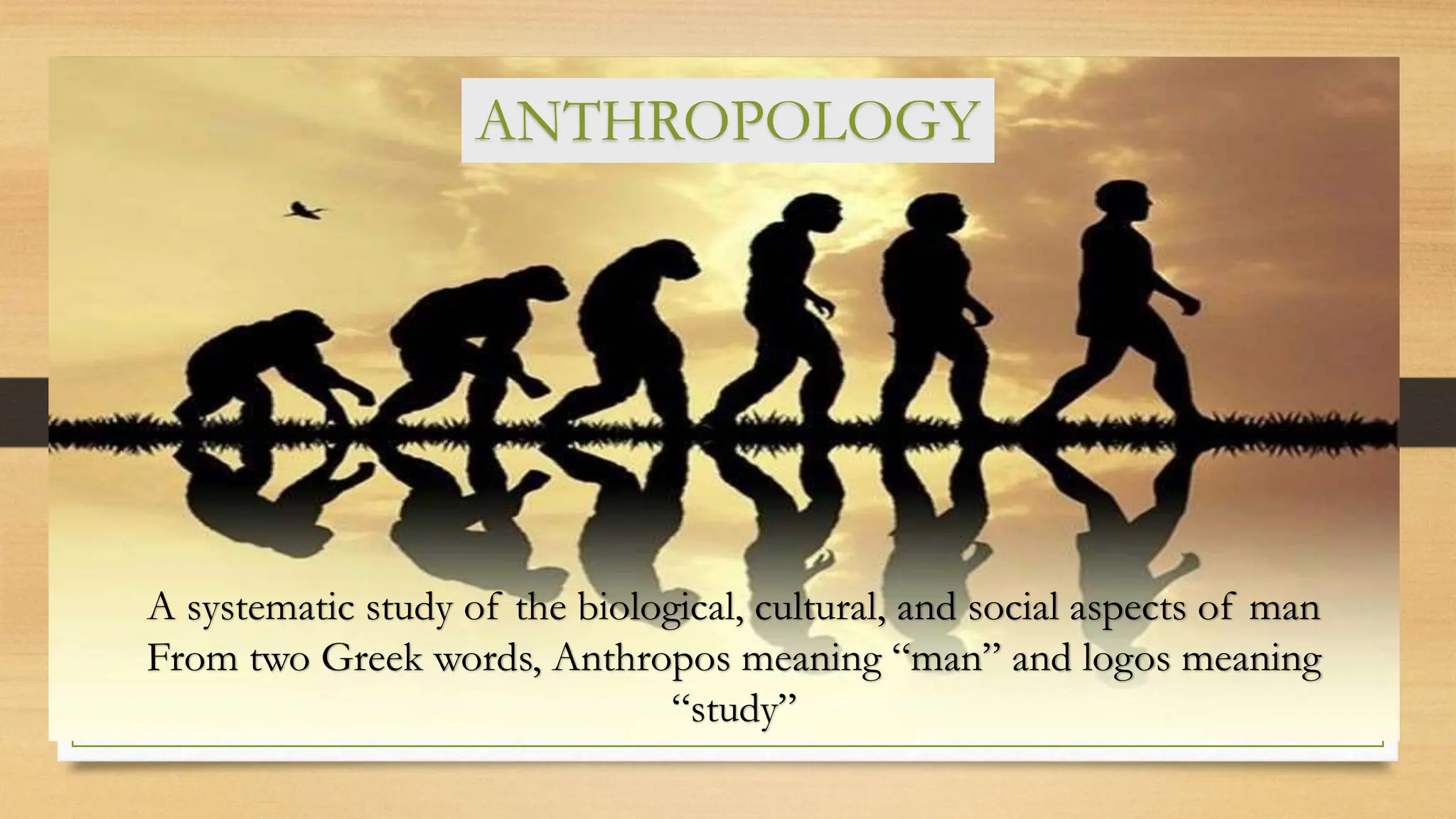 antropology, sociology, political science | PPTX