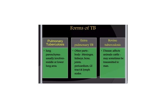 Presentation.pptx, pulmonary tb, pathology | PPTX