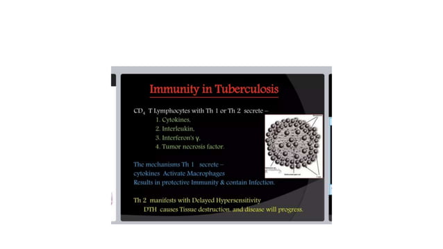 Presentation.pptx, pulmonary tb, pathology | PPTX