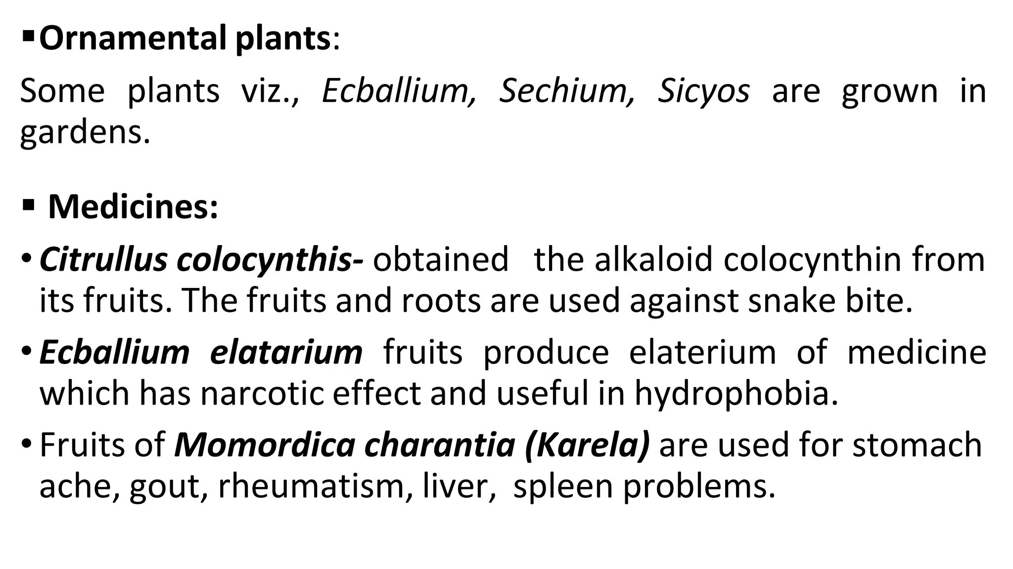Presentation on family cucurbitaceae.pptx
