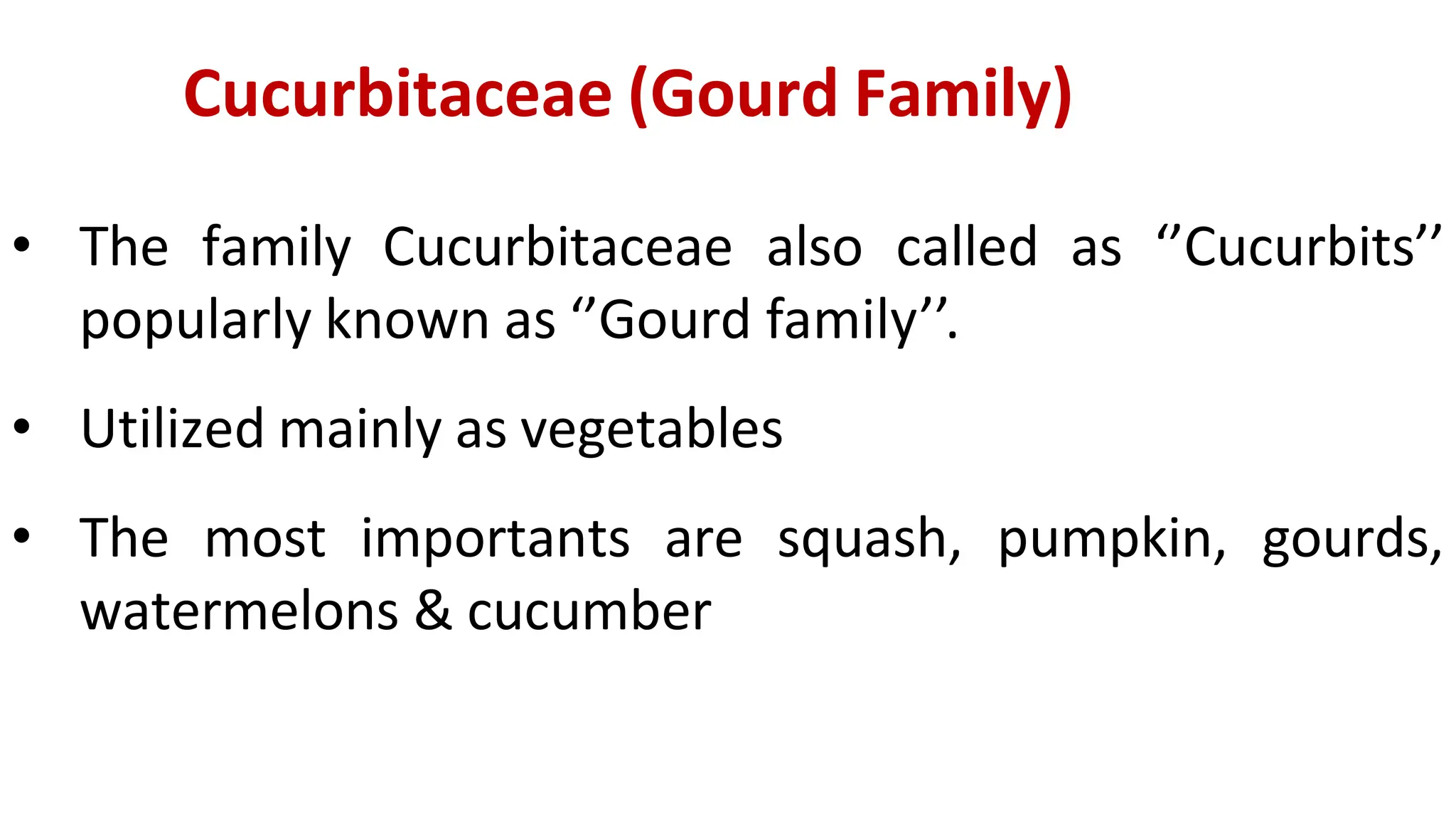Presentation on family cucurbitaceae.pptx