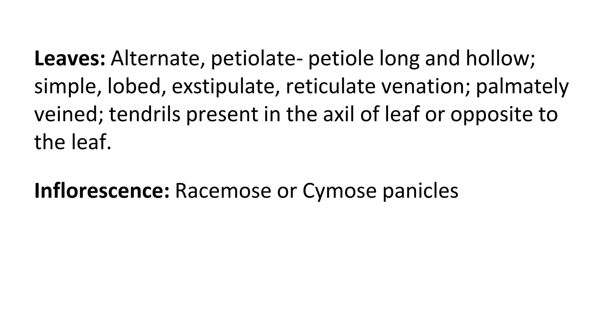 Presentation on family cucurbitaceae.pptx