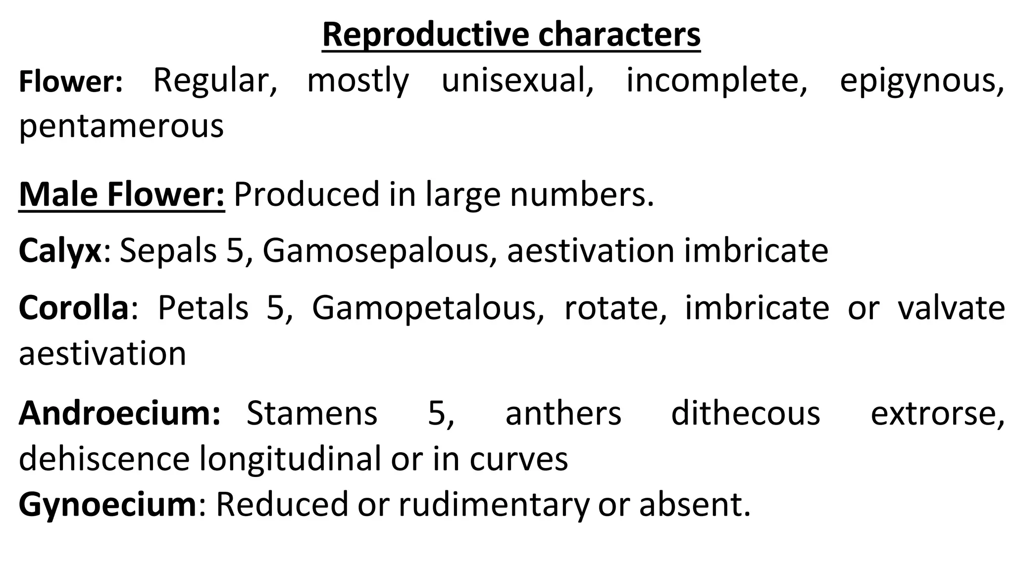 Presentation on family cucurbitaceae.pptx