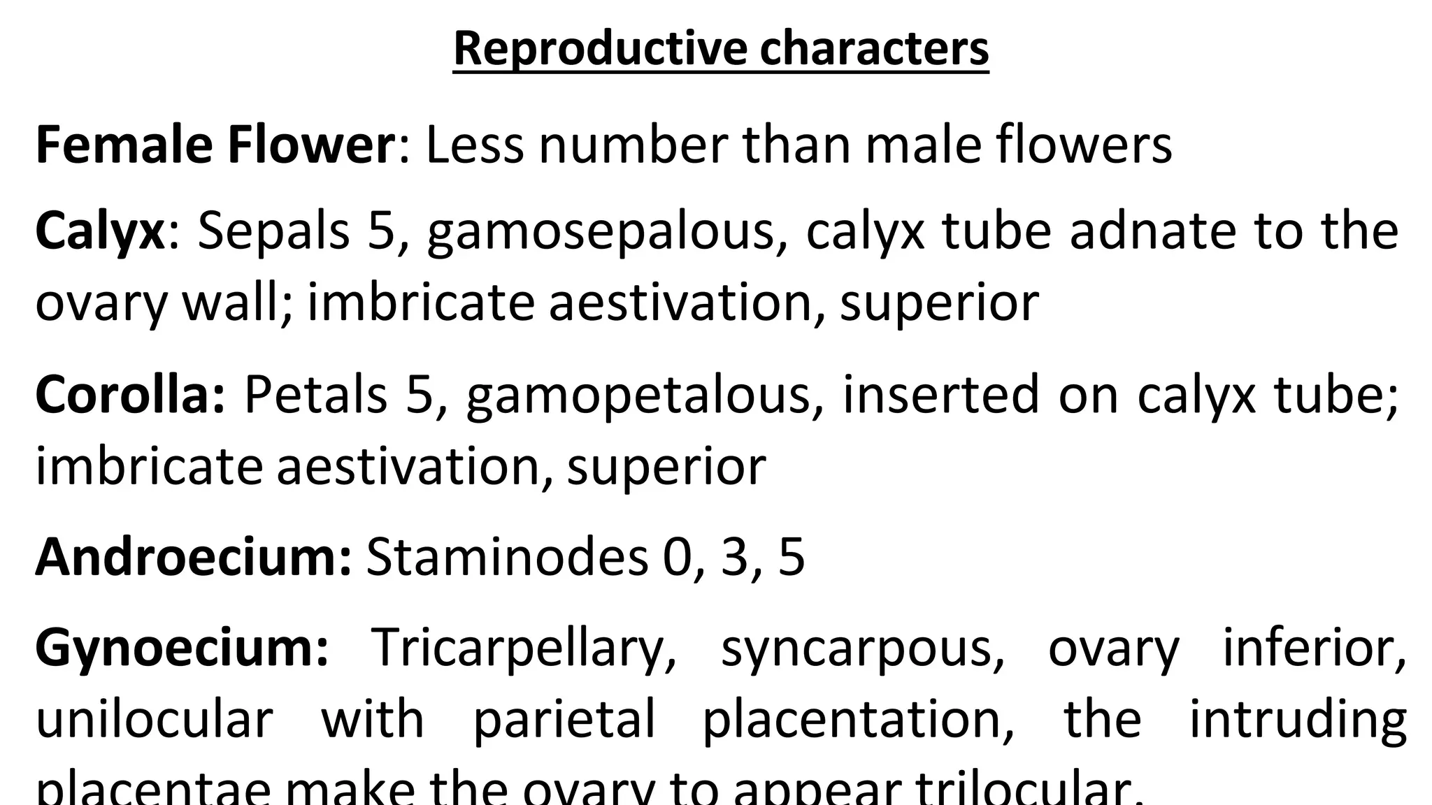 Presentation on family cucurbitaceae.pptx
