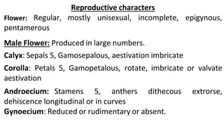 Presentation on family cucurbitaceae.pptx