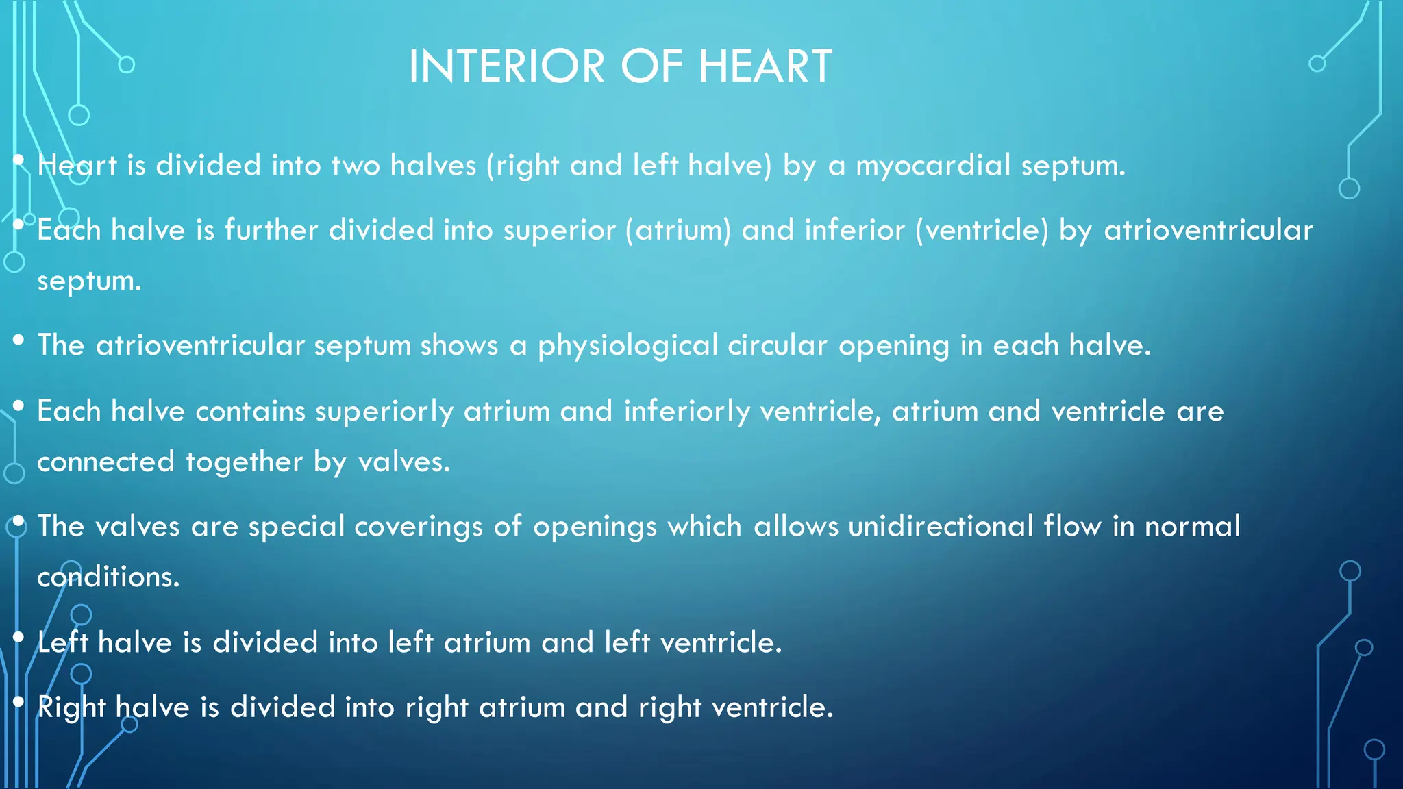 Anatomy of Human Heart along with internal and external features. | PDF