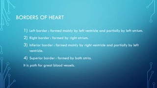 Anatomy of Human Heart along with internal and external features. | PDF