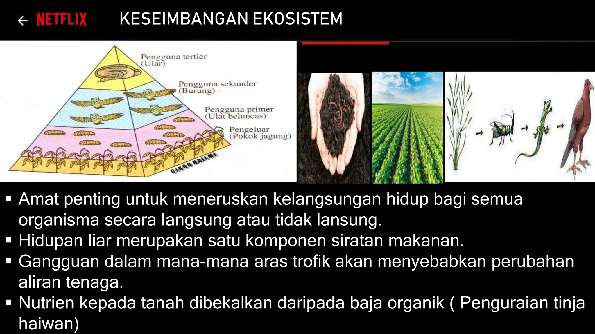 Kepentingan Hidupan-hidupan Liar di Malaysia | PPTX