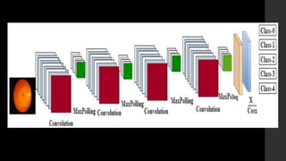 Convolutional neural network and its layers | PPT