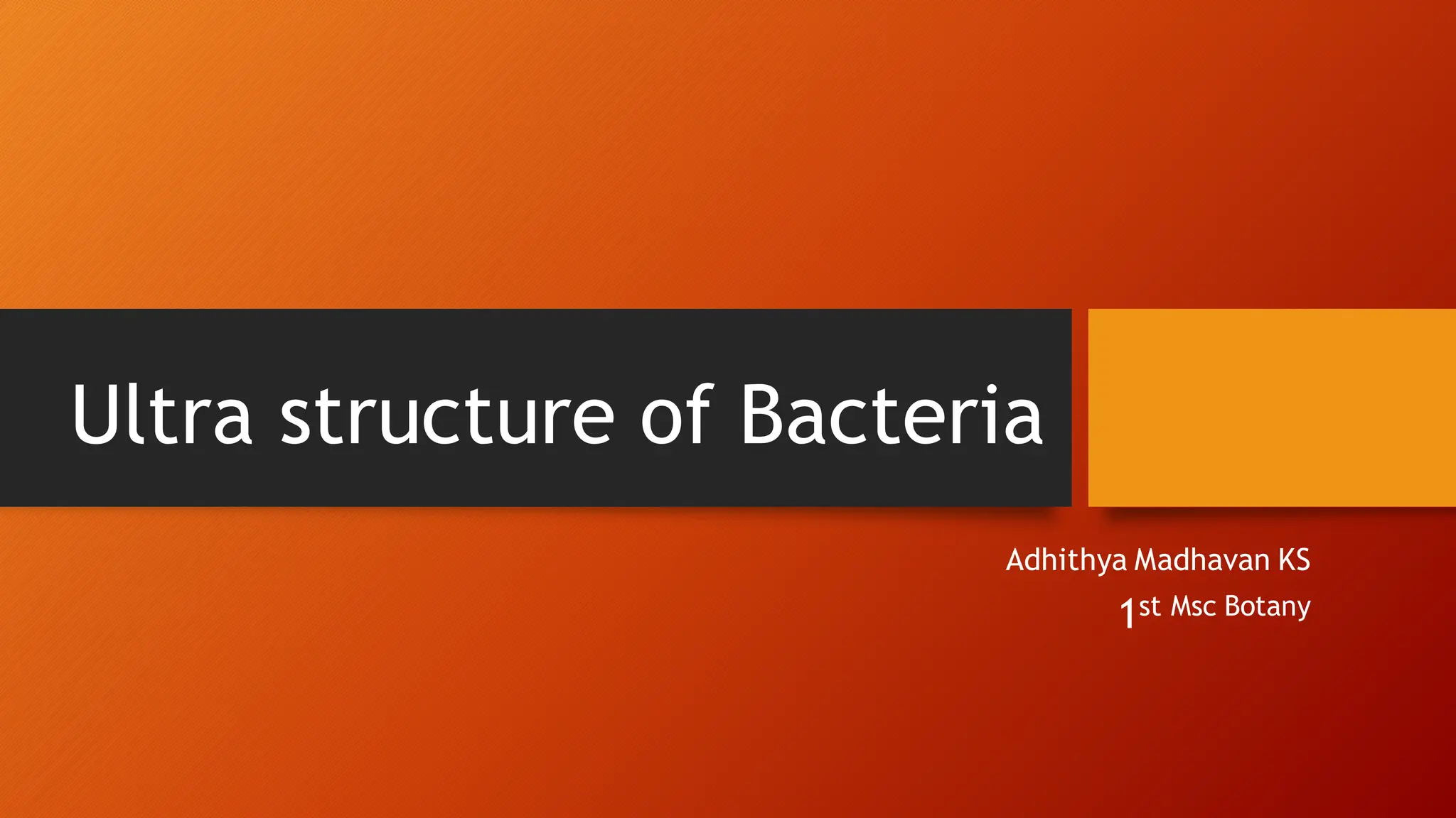 Ultra structure of Bacteria....... | PDF